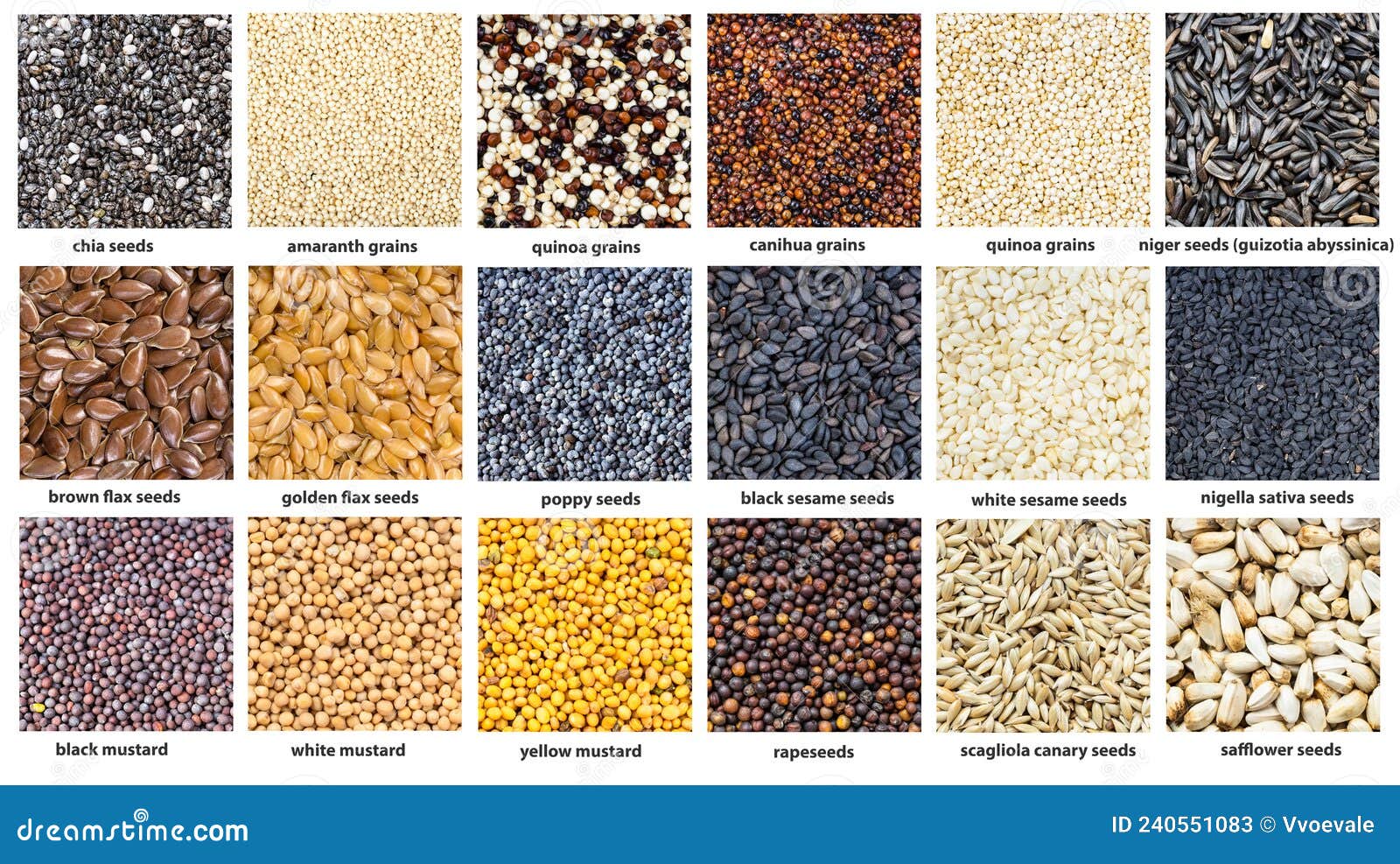 Background - Various Grains with Names Close Up Stock Image - Image of ...