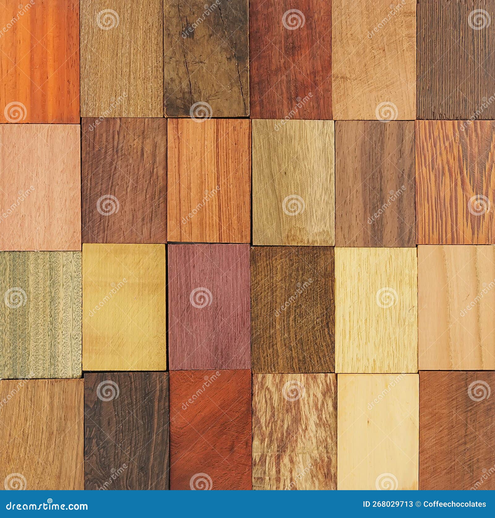Background from Various Samples of Wood Stock Image - Image of design ...
