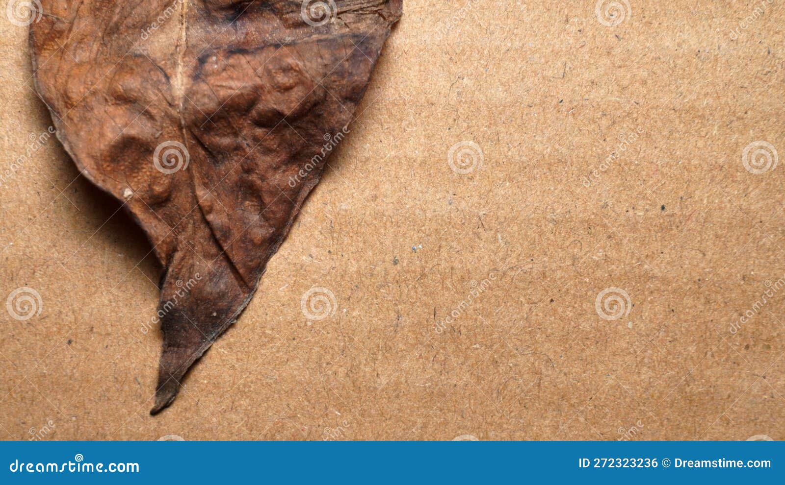 Background Vintage with Brown Color Stock Photo - Image of closeup ...