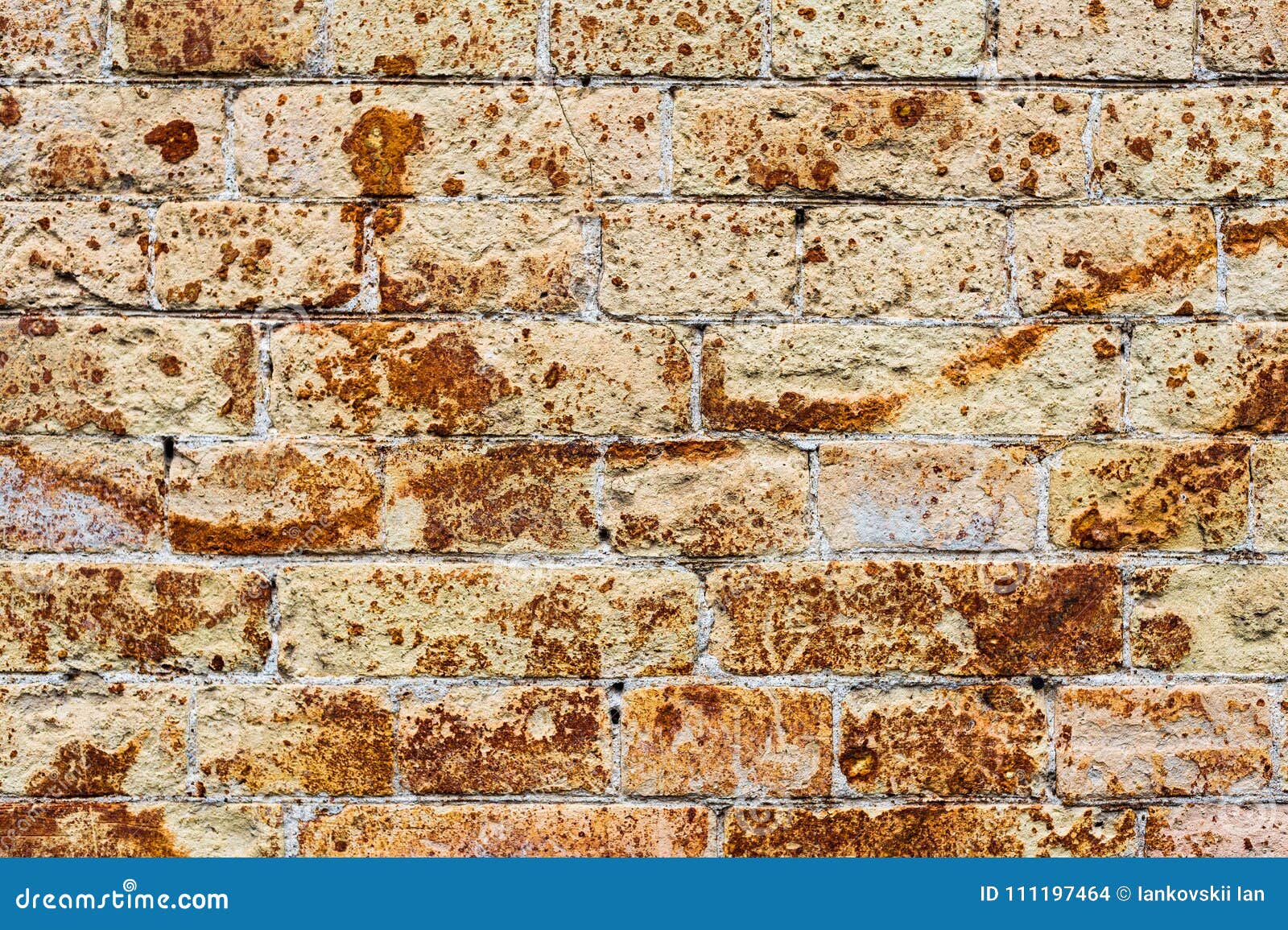 Background Wall from an Ancient Yellow Vintage Brick with Rusty ...