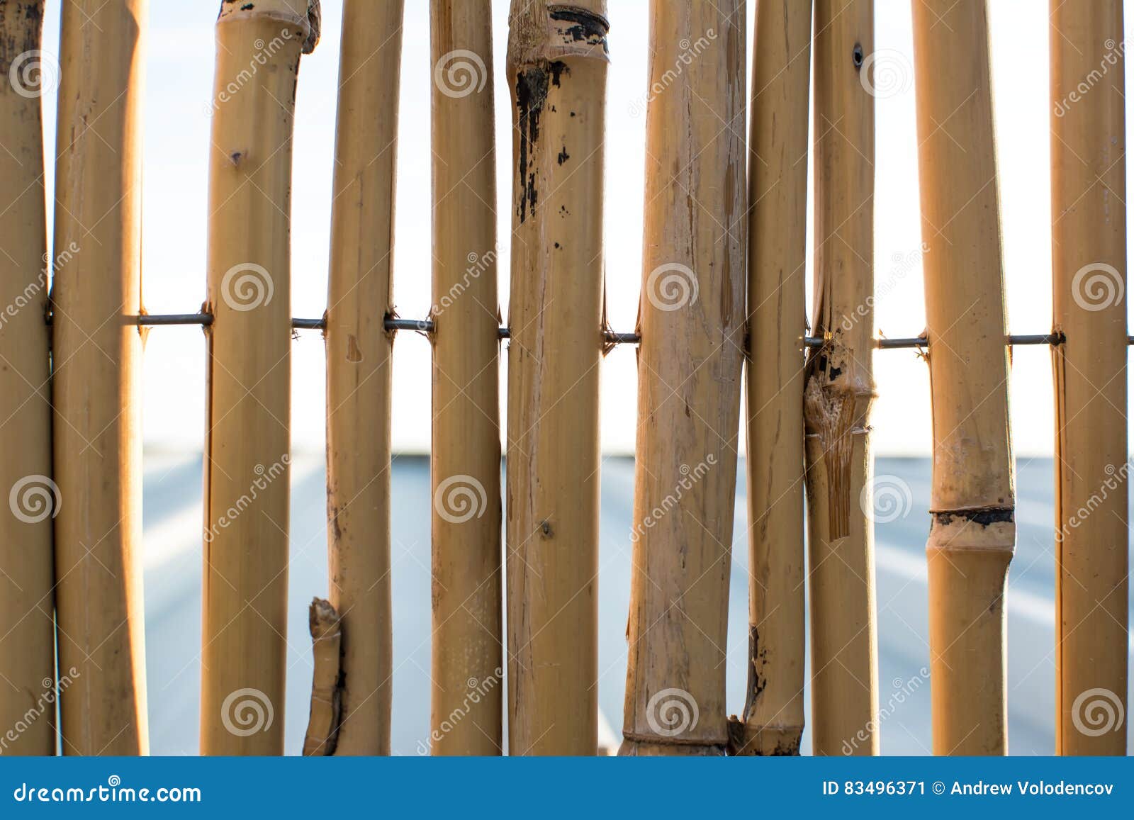 Background Wall of Bamboo Sticks Stock Image - Image of bamboo, bind ...