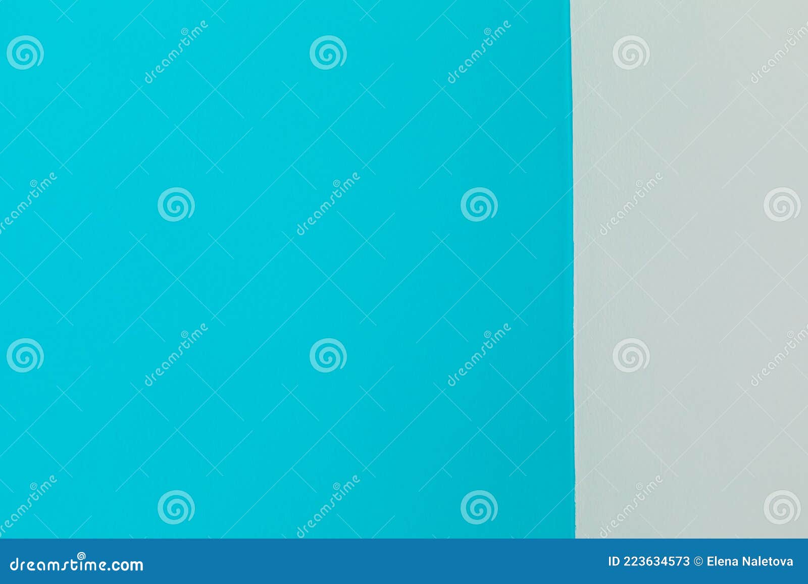 The Background of the Wall is Homogeneous of the Surface Coloration of ...