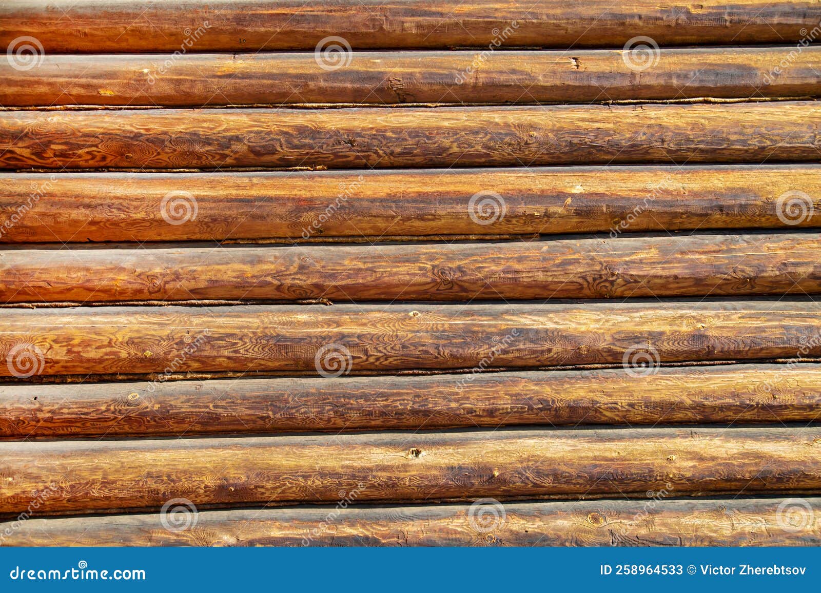 The Background of the Wall is Made of Softwood Logs of Brown Color with ...