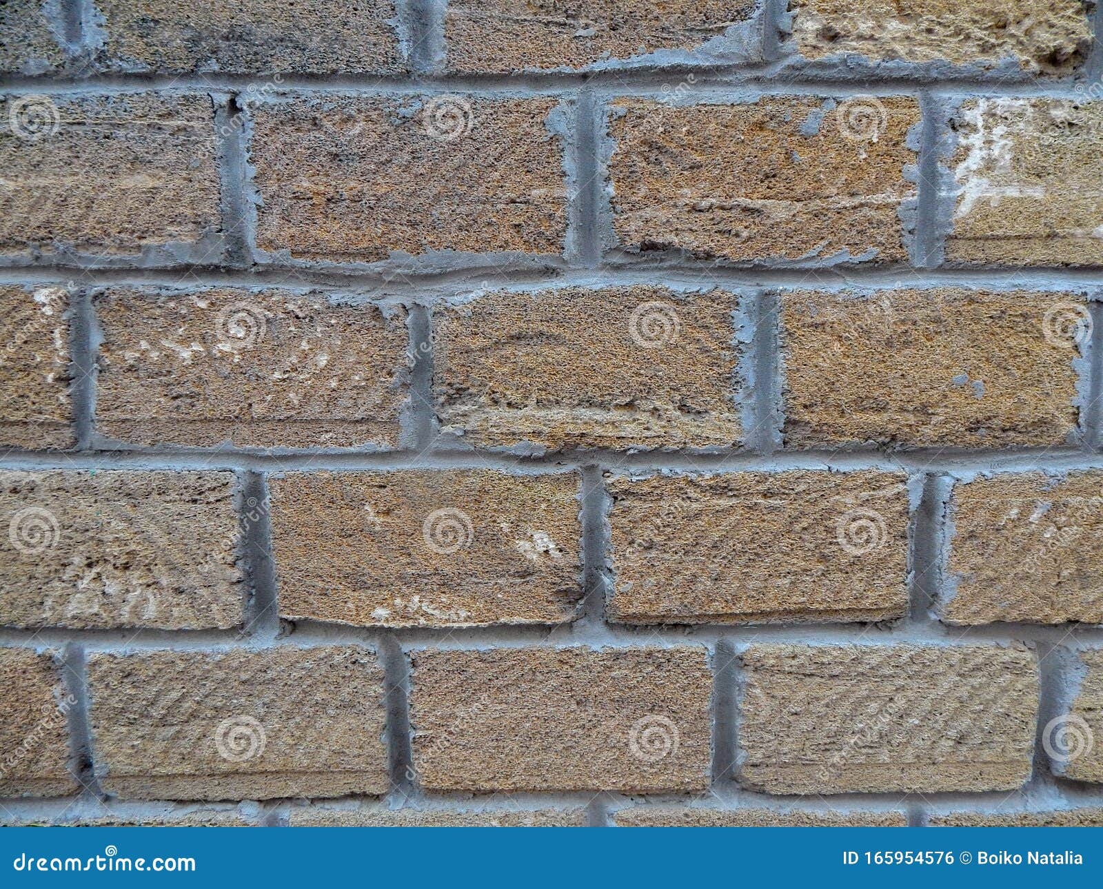 Background Wall with Shell Rock. Old Wall. Texture Limestone Stock ...