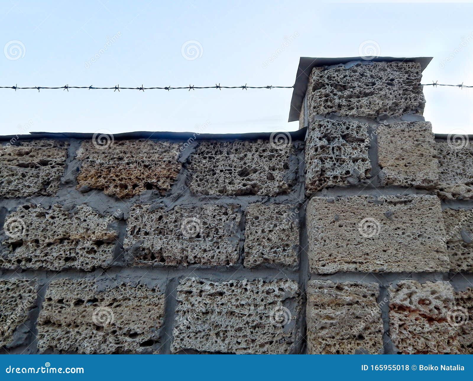 Background Wall with Shell Rock. Old Wall. Texture Limestone Stock ...