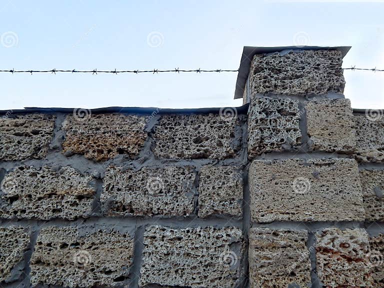 Background Wall with Shell Rock. Old Wall. Texture Limestone Stock ...