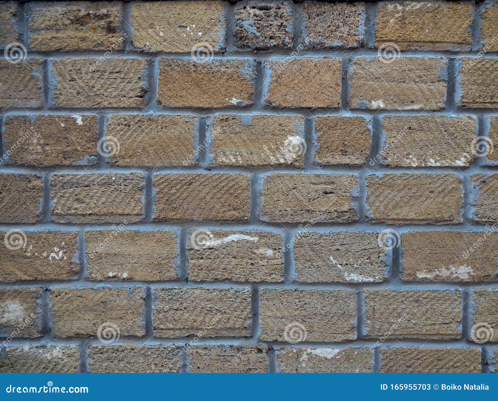 Background Wall with Shell Rock. Old Wall. Texture Limestone Stock ...