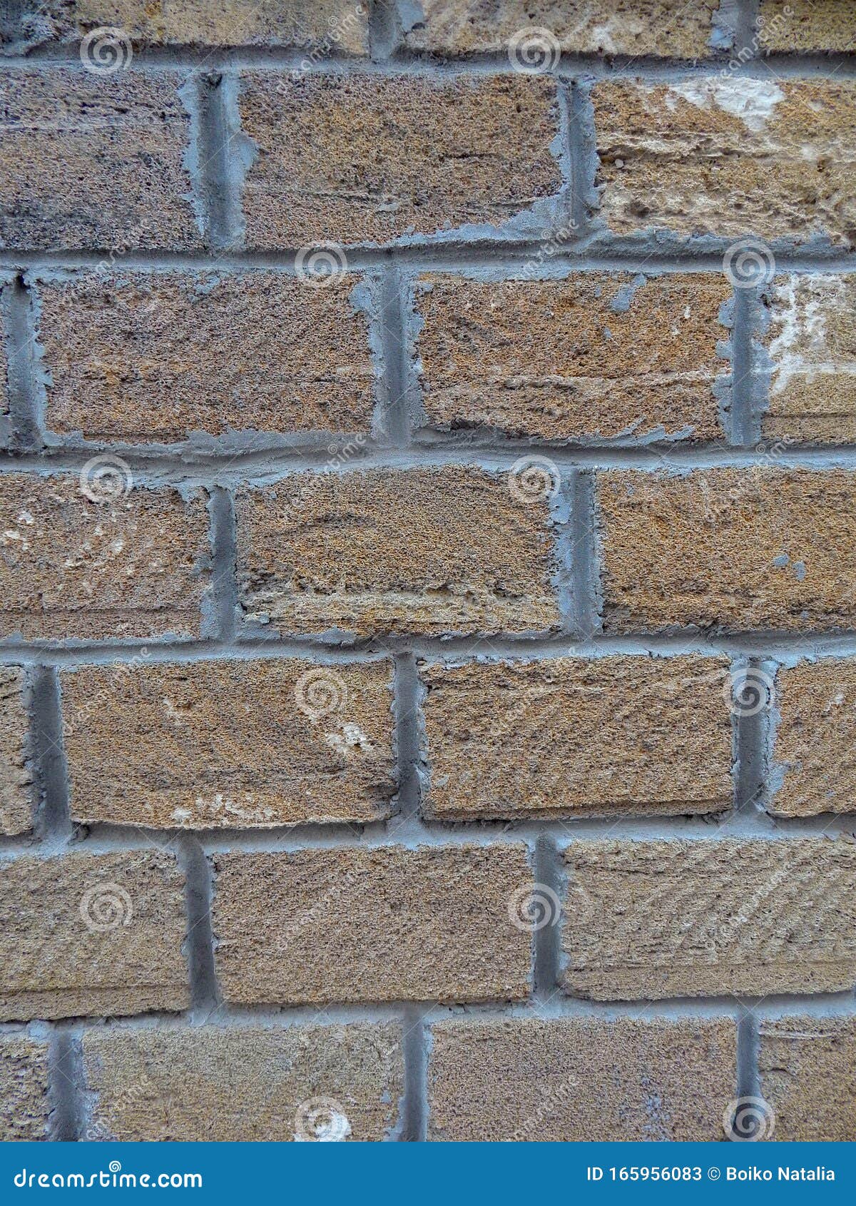 Background Wall with Shell Rock. Old Wall. Texture Limestone Stock ...