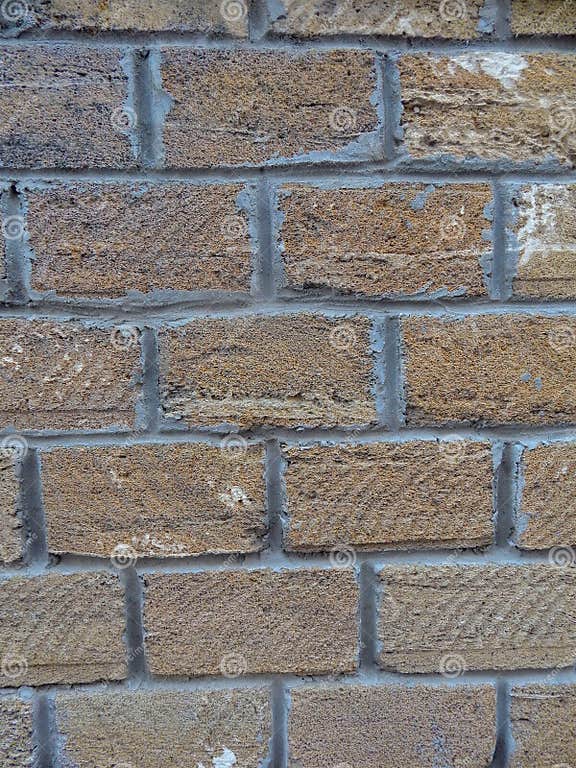 Background Wall with Shell Rock. Old Wall. Texture Limestone Stock ...