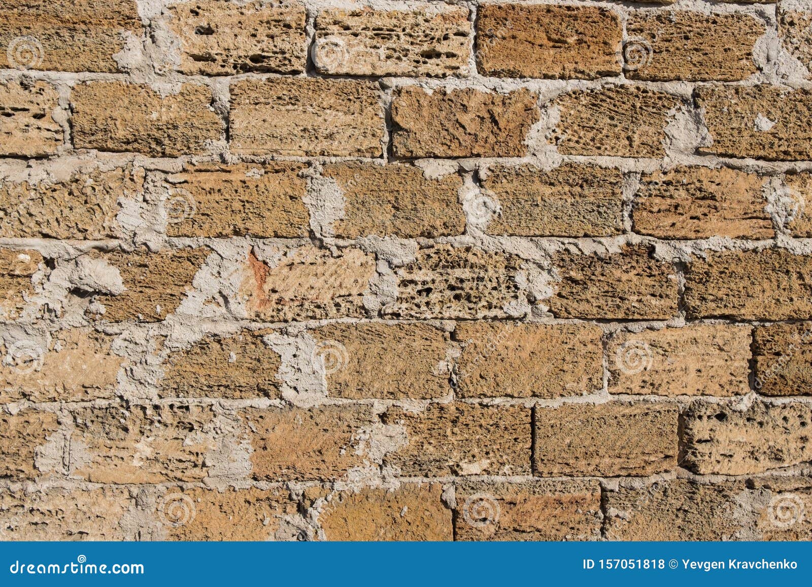 Shell Rock. Texture of the Wall of Stone. Stock Photo - Image of clean ...