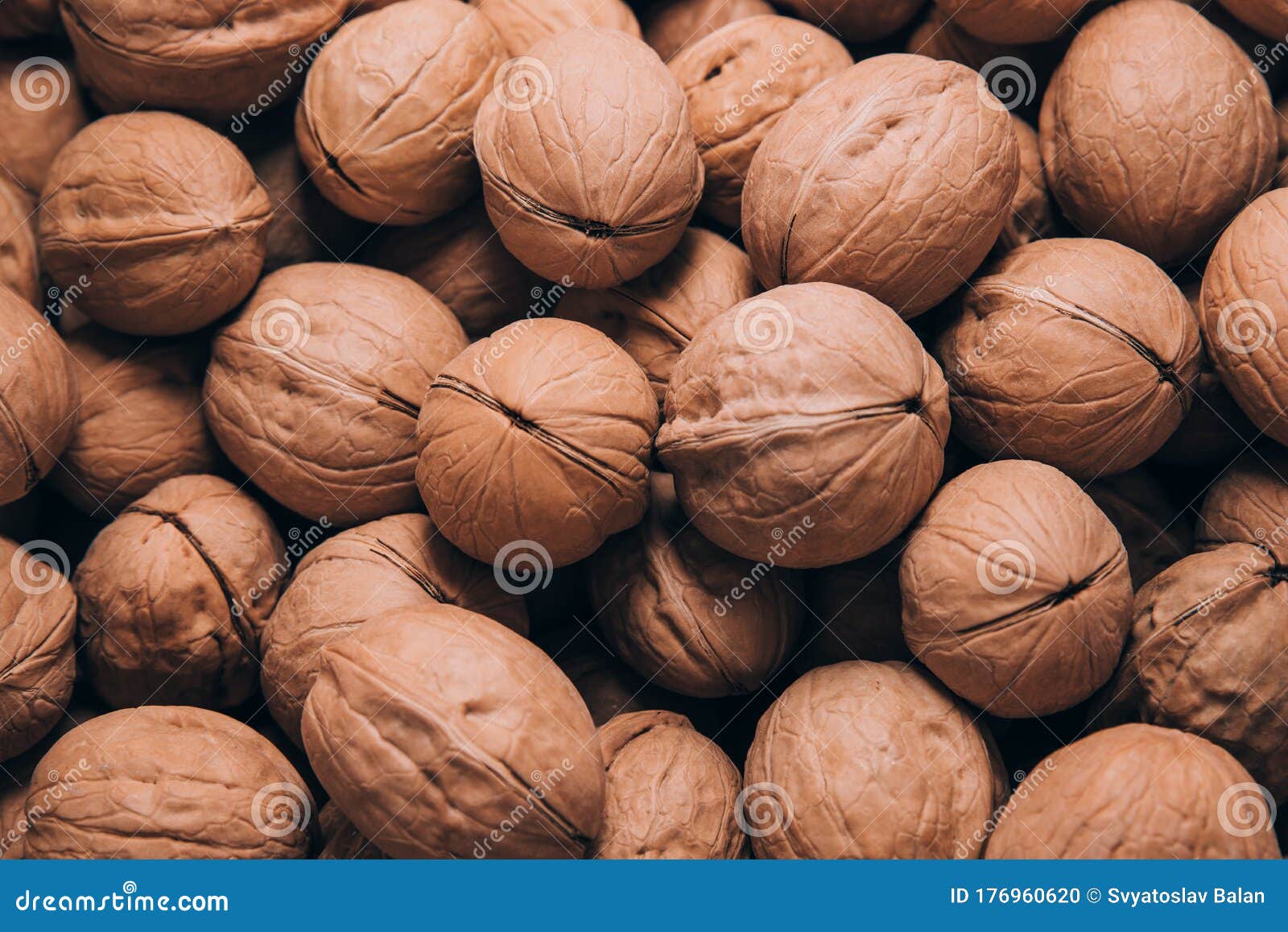 Background for Wallpaper in the Form of a Pattern of Walnuts Stock ...