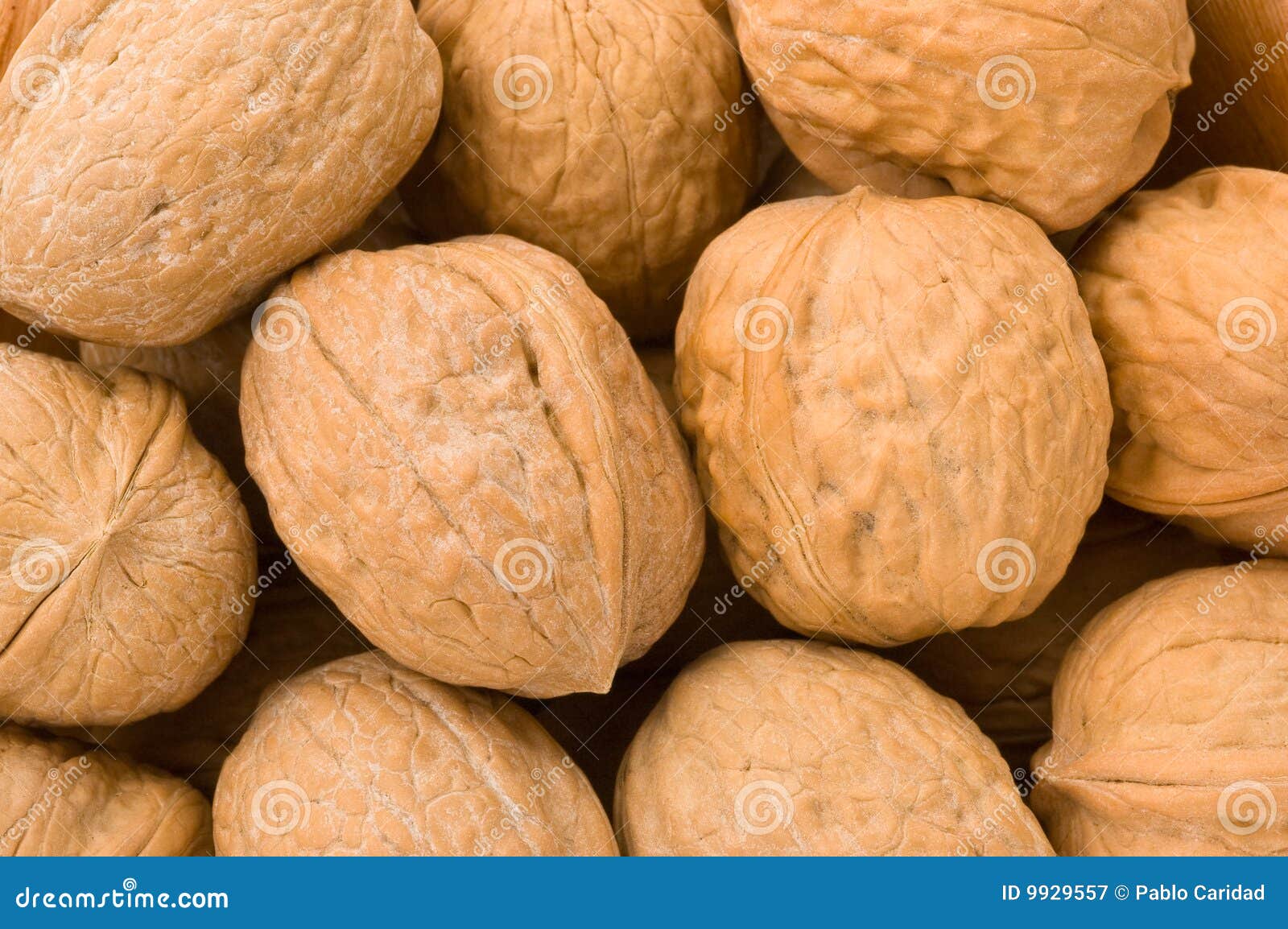 Background of walnuts. stock image. Image of closeup, tasty - 9929557