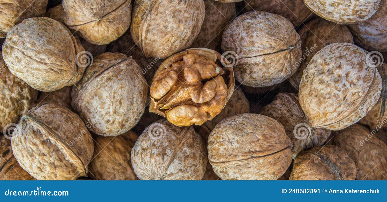 Background from Walnuts in a Shell. Top View, Flat Lay. Banner. Place ...