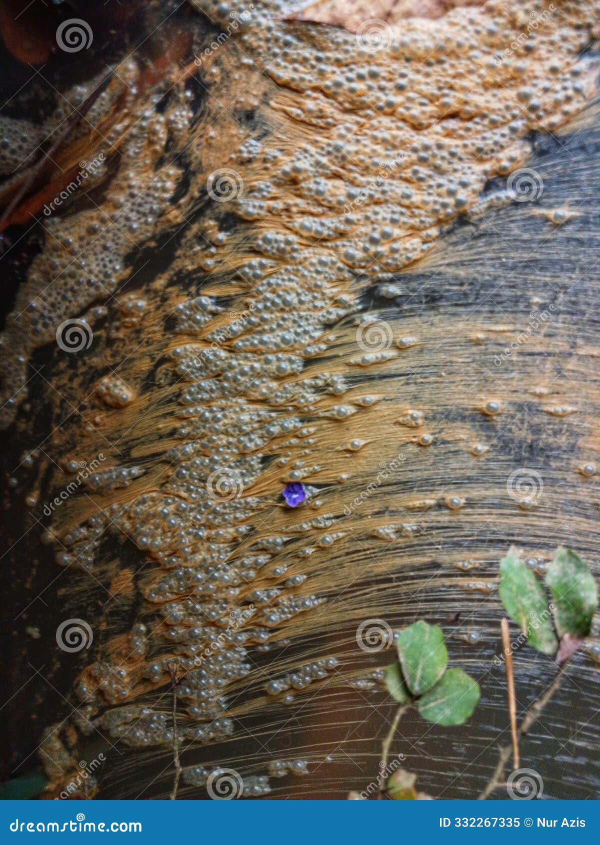 Background of Water Contaminated with Bacteria. Bacteria in Water Stock ...