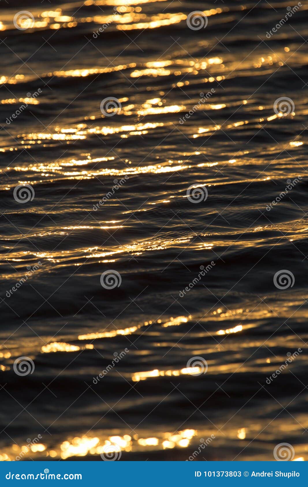 Background of Water in the Rays of the Golden Sun Stock Image - Image ...