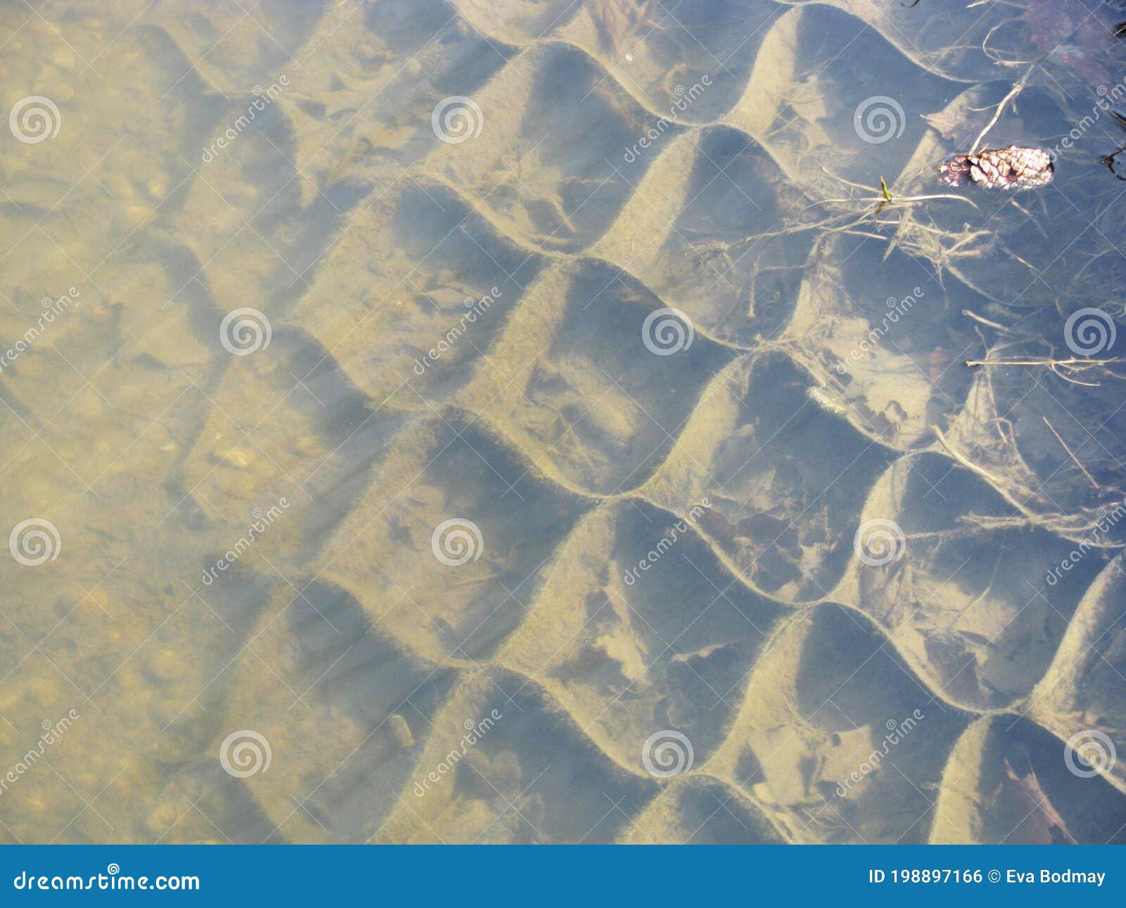 Background Water Texture on the Water Stock Photo - Image of nature ...