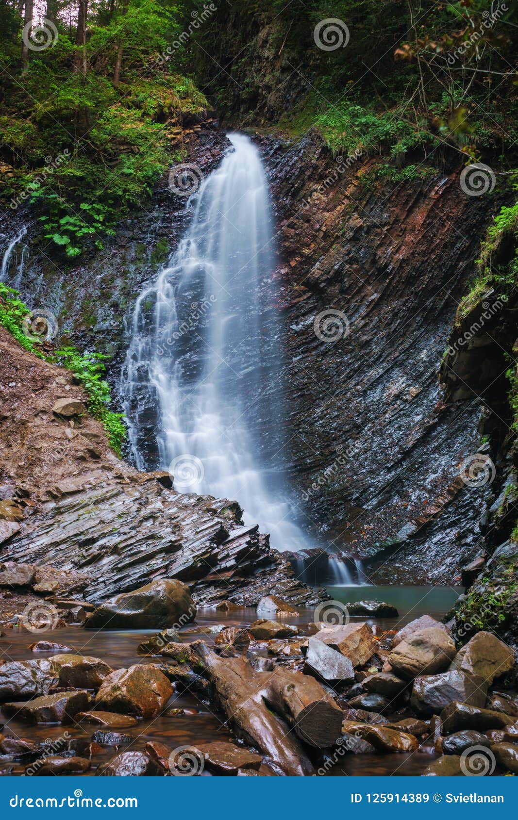 Waterfall in Mountains with Forest. Stock Image - Image of splash, park ...