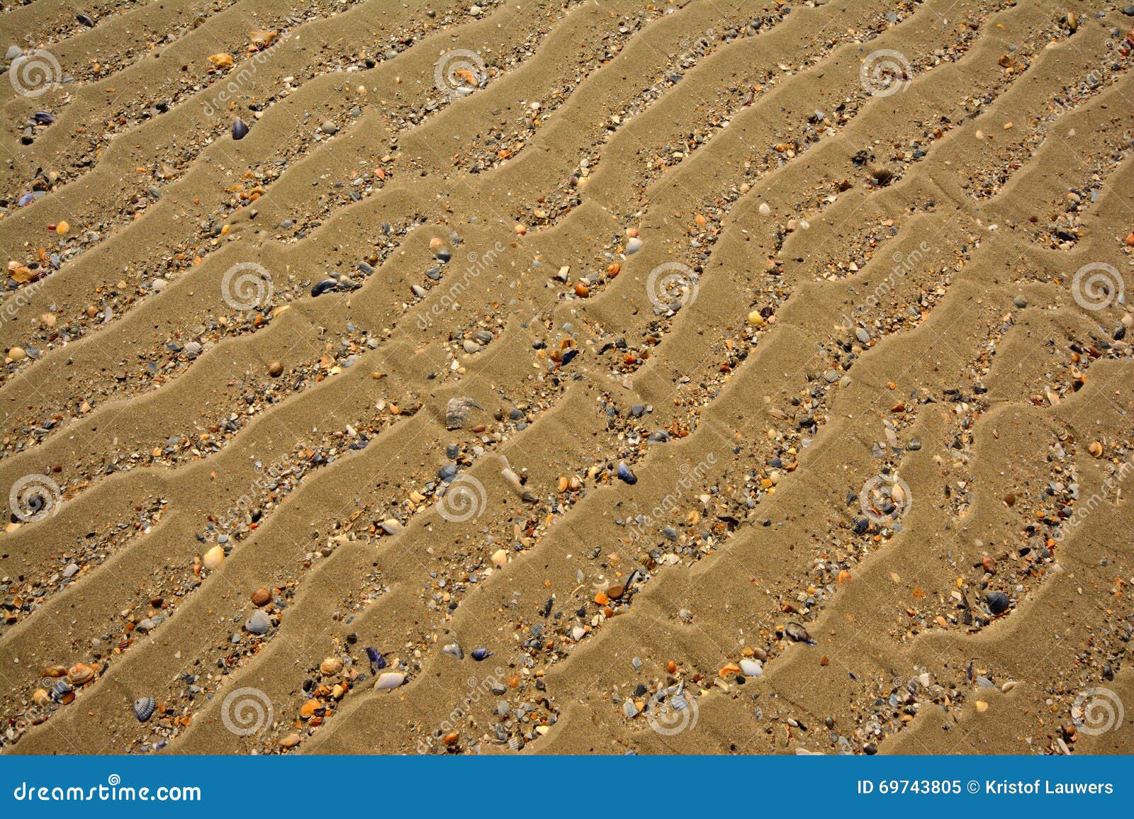 Background of Wavy Sand with Broken Shells, Diagonal Angle Stock Image ...