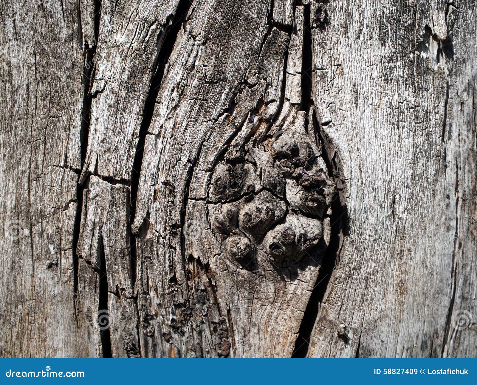 Background of Weathered Cedar Stock Image - Image of grey, cracked ...