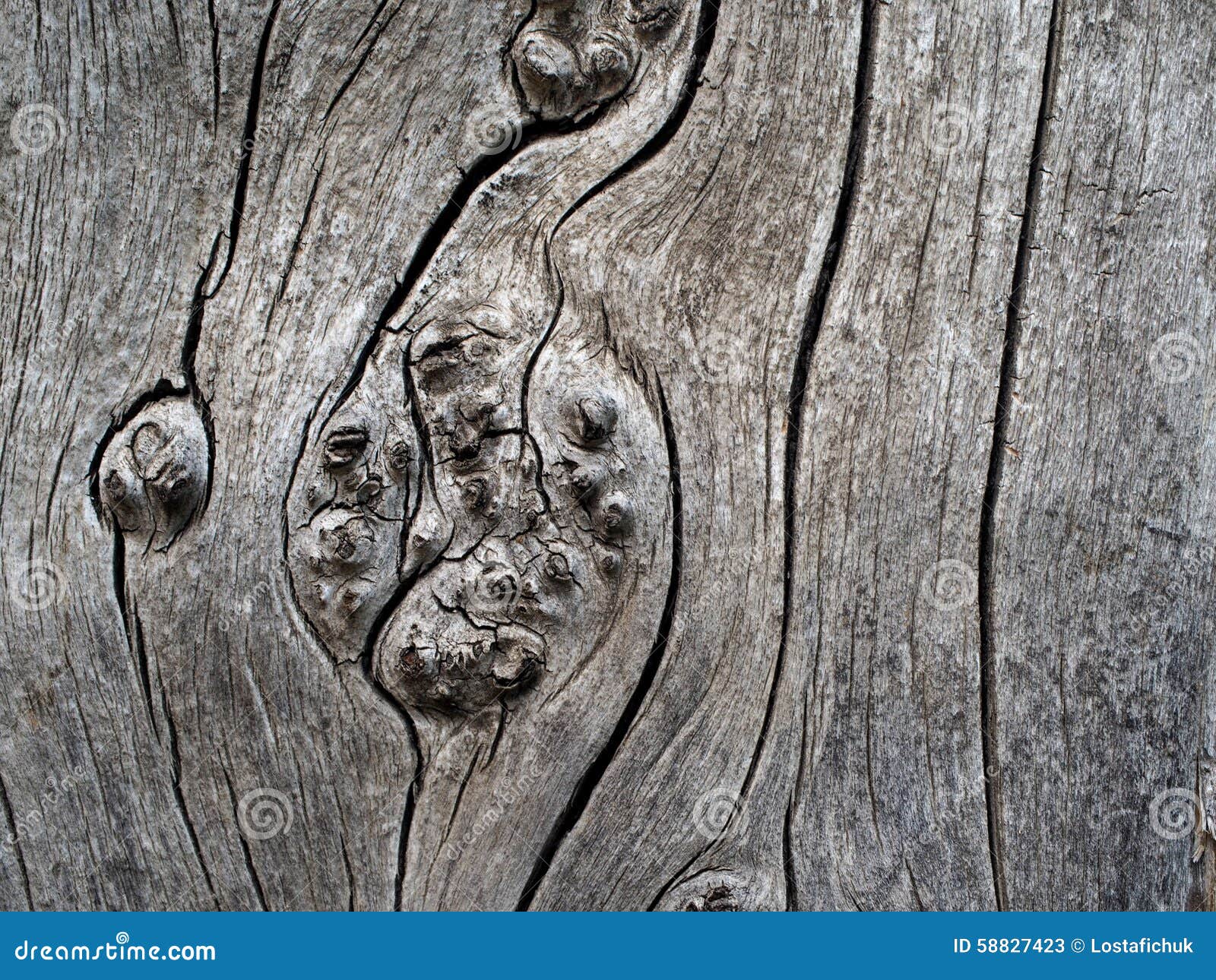 Background of Weathered Cedar Stock Image - Image of wooden, weathered ...