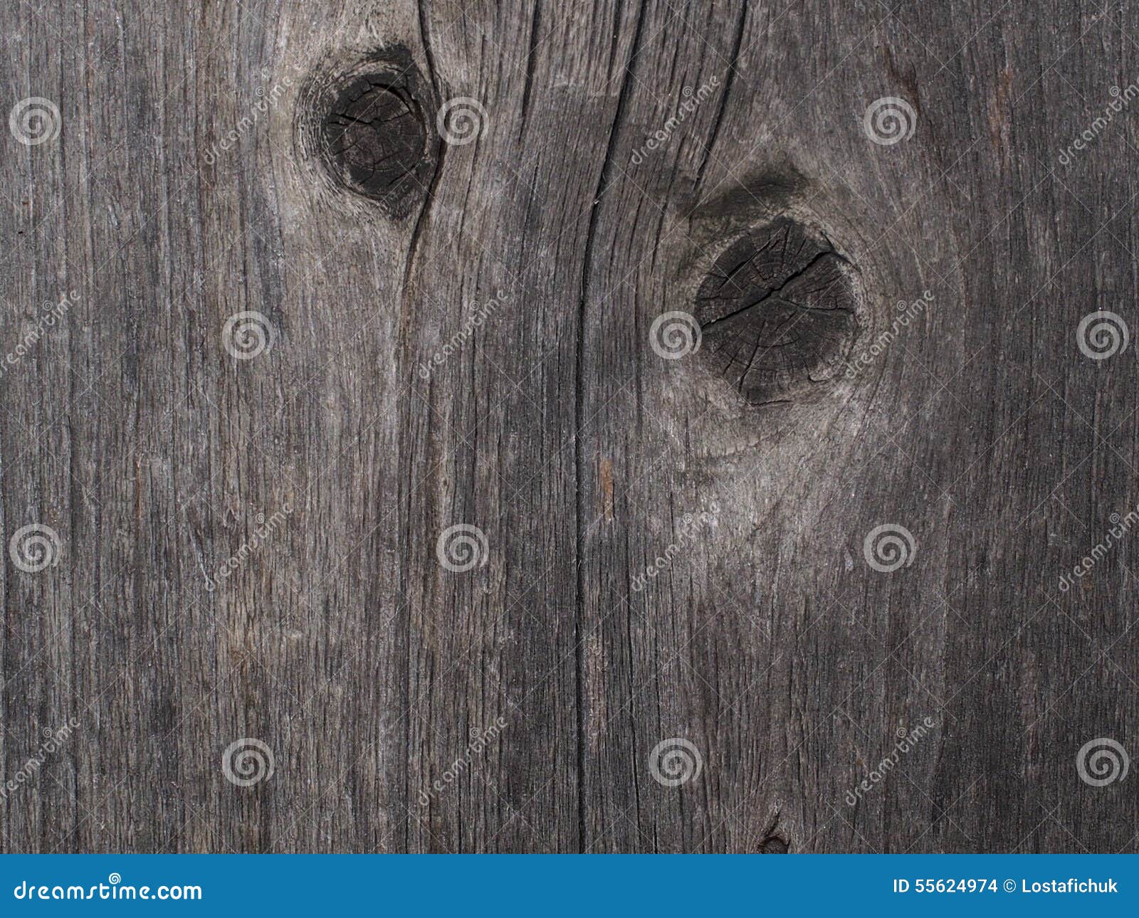 Background of Weathered Cedar Stock Photo - Image of wooden, knotty ...