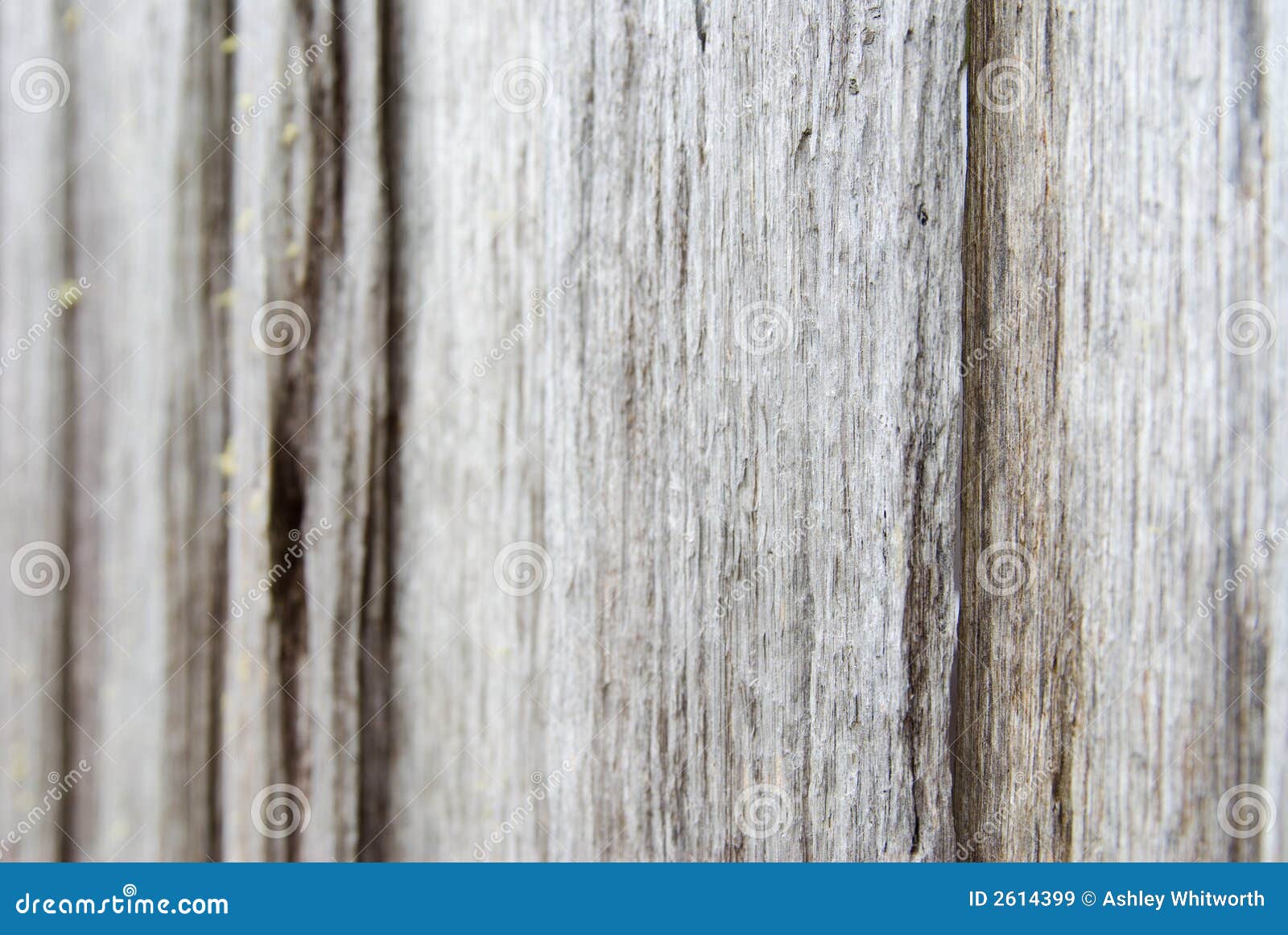 Background of Weathered Wood Stock Image - Image of grey, shallow: 2614399