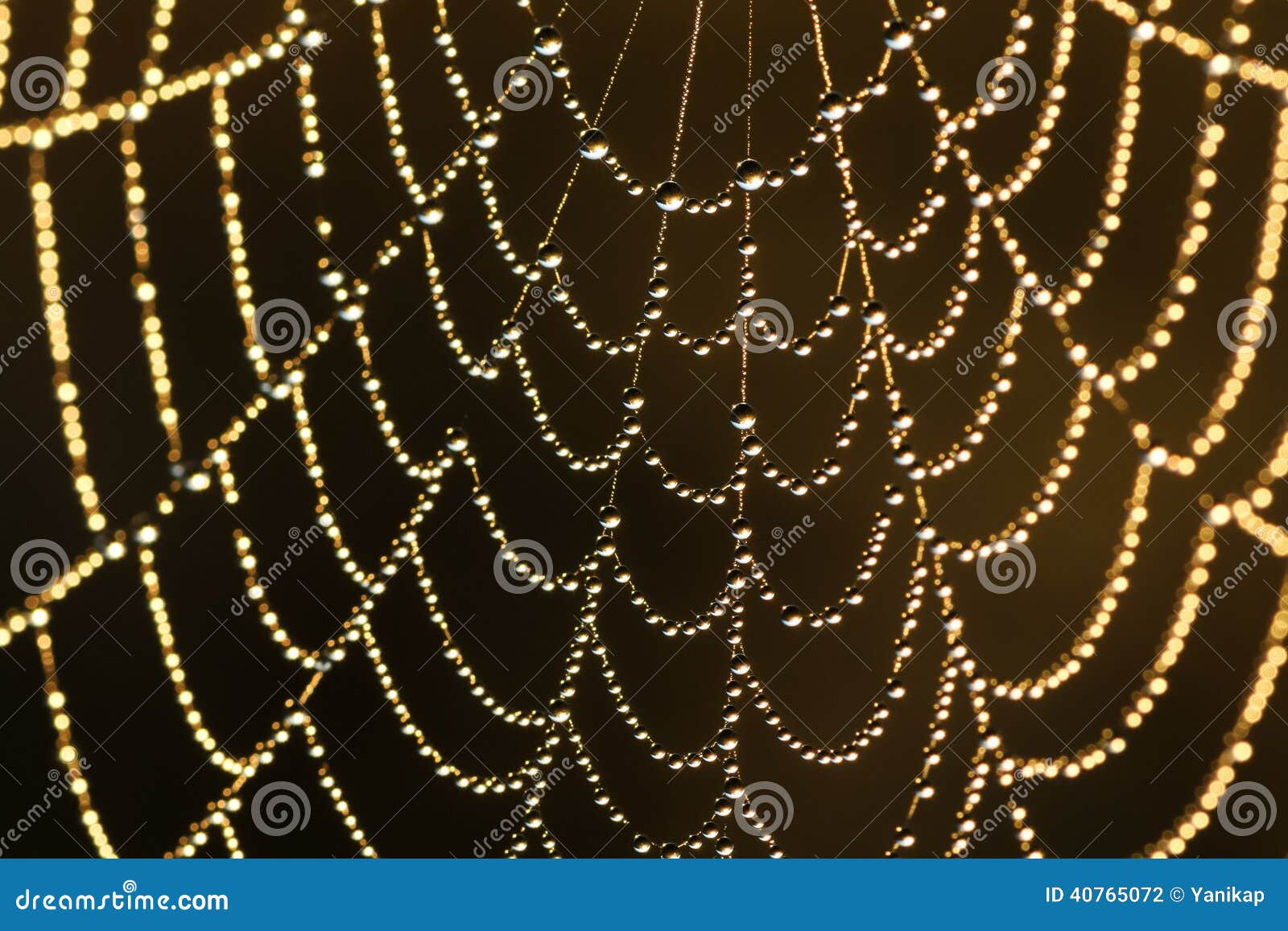 Background from a Web Shine in the Sun Stock Photo - Image of mesh ...