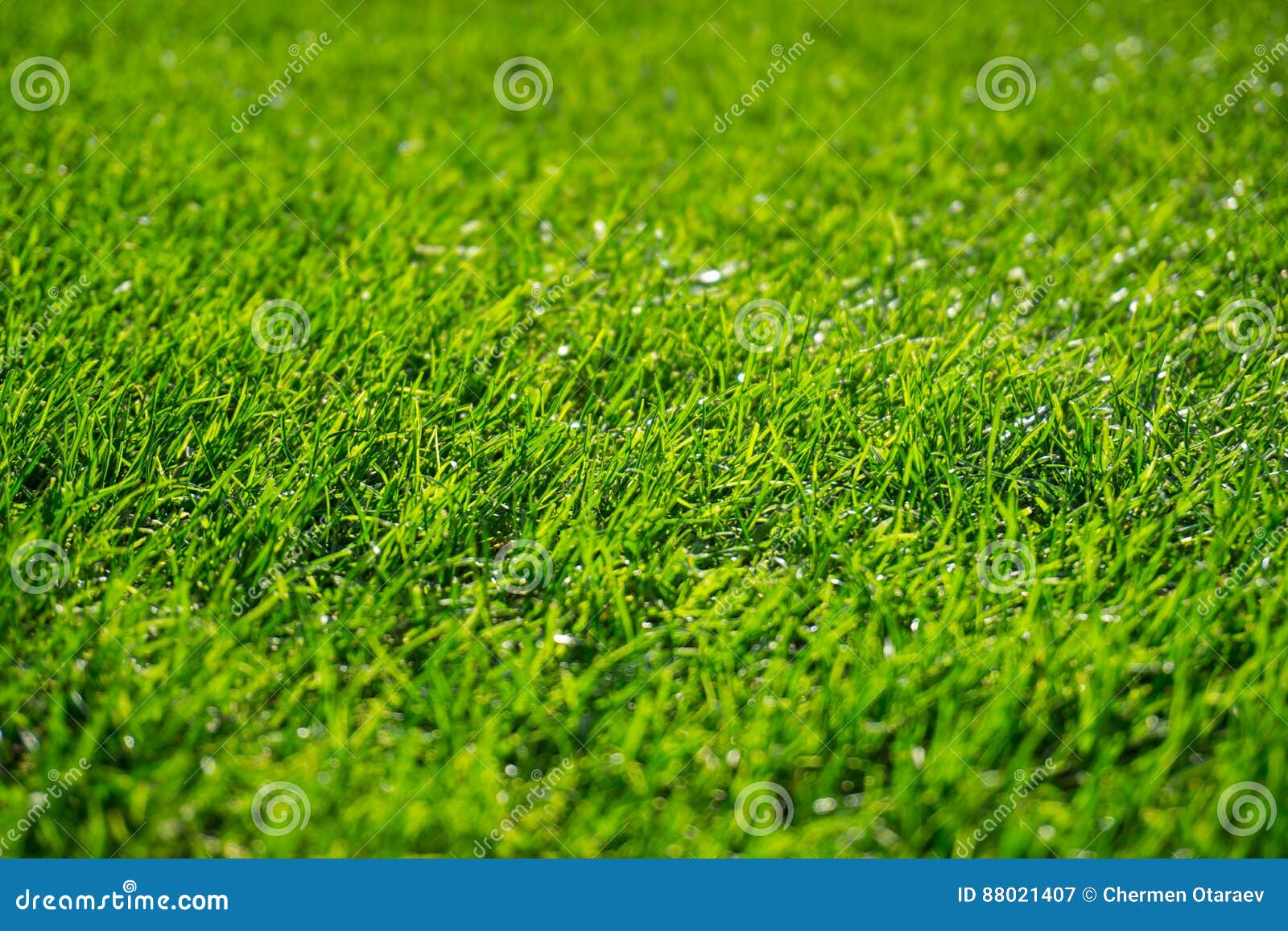 Background Of Wet Green Grass Texture Royalty-Free Stock Photo ...