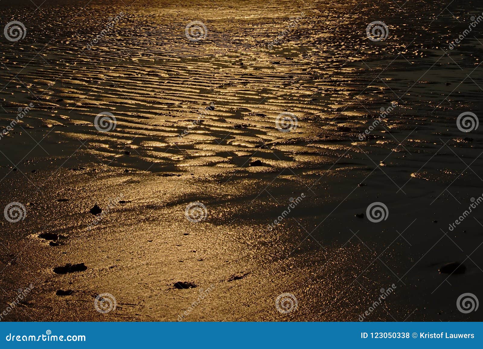 Wet Sand in the Evening Sunlight Stock Photo - Image of evening, sand ...