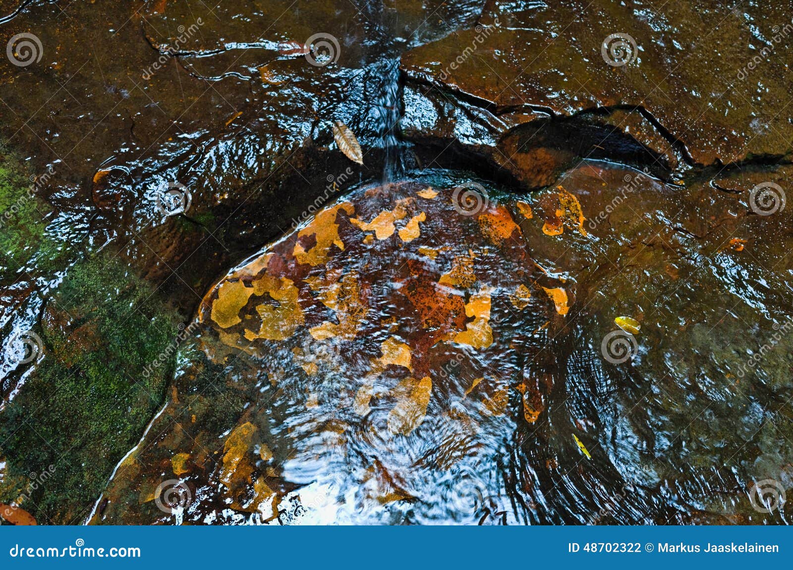Background of Wet Rock with Yellow Orange Patterns Stock Photo - Image ...