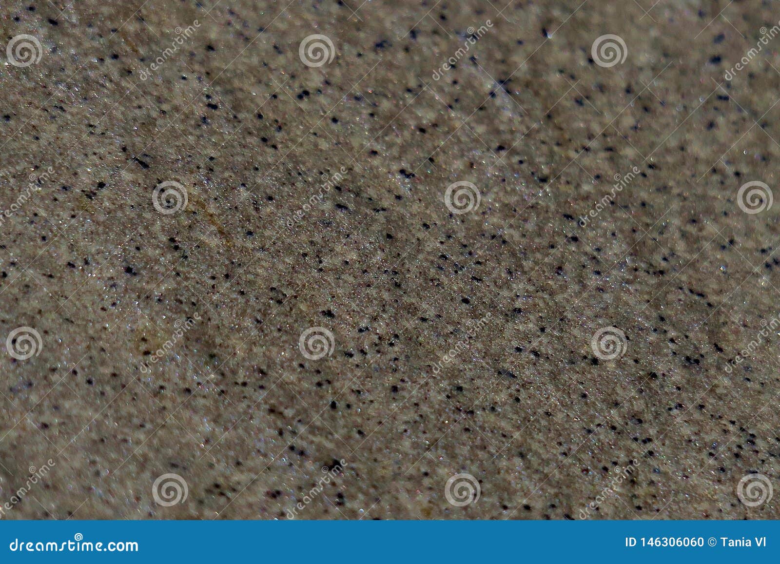 Background of Wet and Shiny Sand Close Up Stock Photo - Image of ...