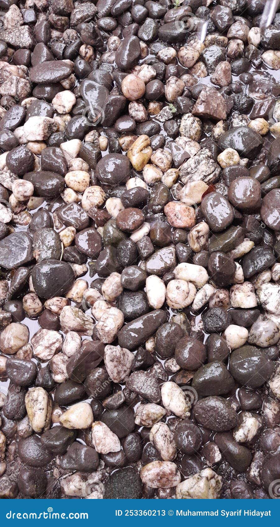 A Background of Wet Stones after Raining Stock Image - Image of raining ...