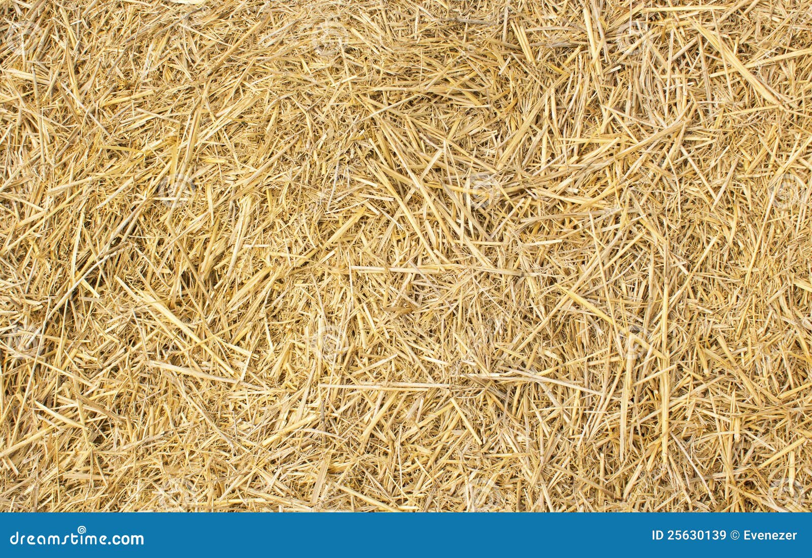 Background of wheat hay stock image. Image of wheat, summer - 25630139