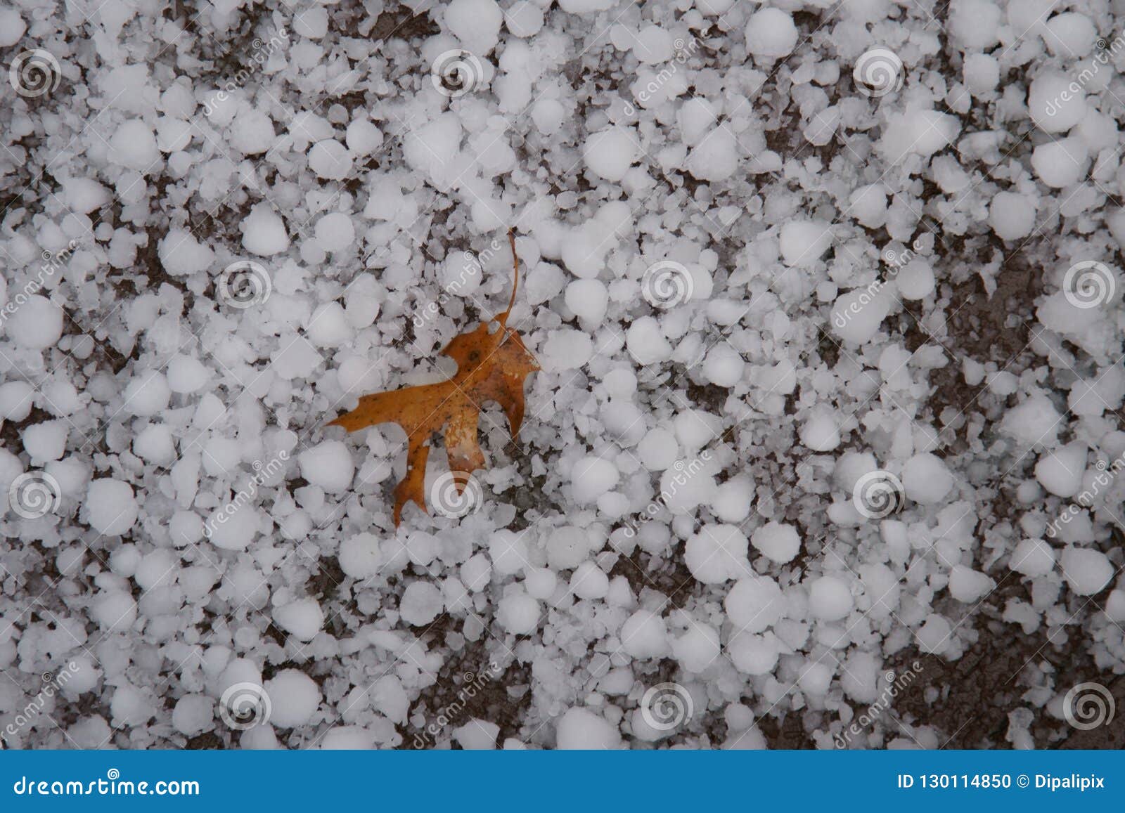 White balls of hail. stock photo. Image of cold, vegetable - 130114850