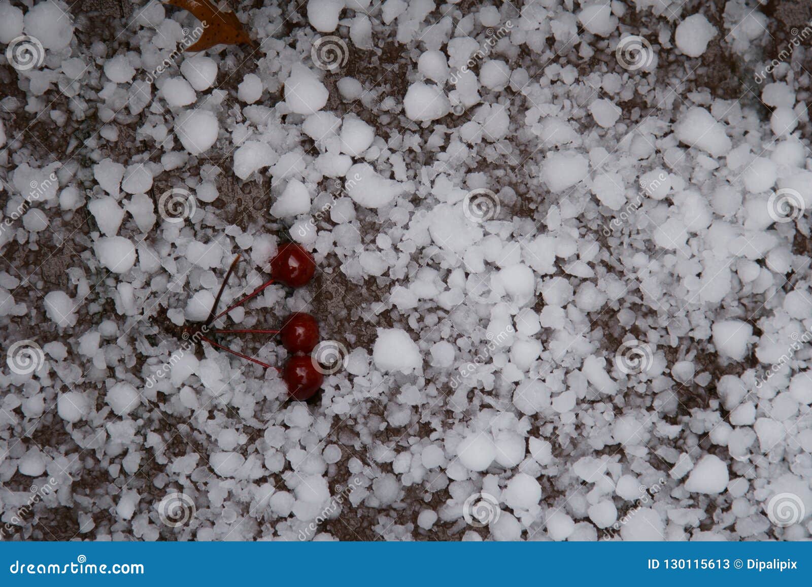 3,395 Hail White Stock Photos - Free & Royalty-Free Stock Photos from ...