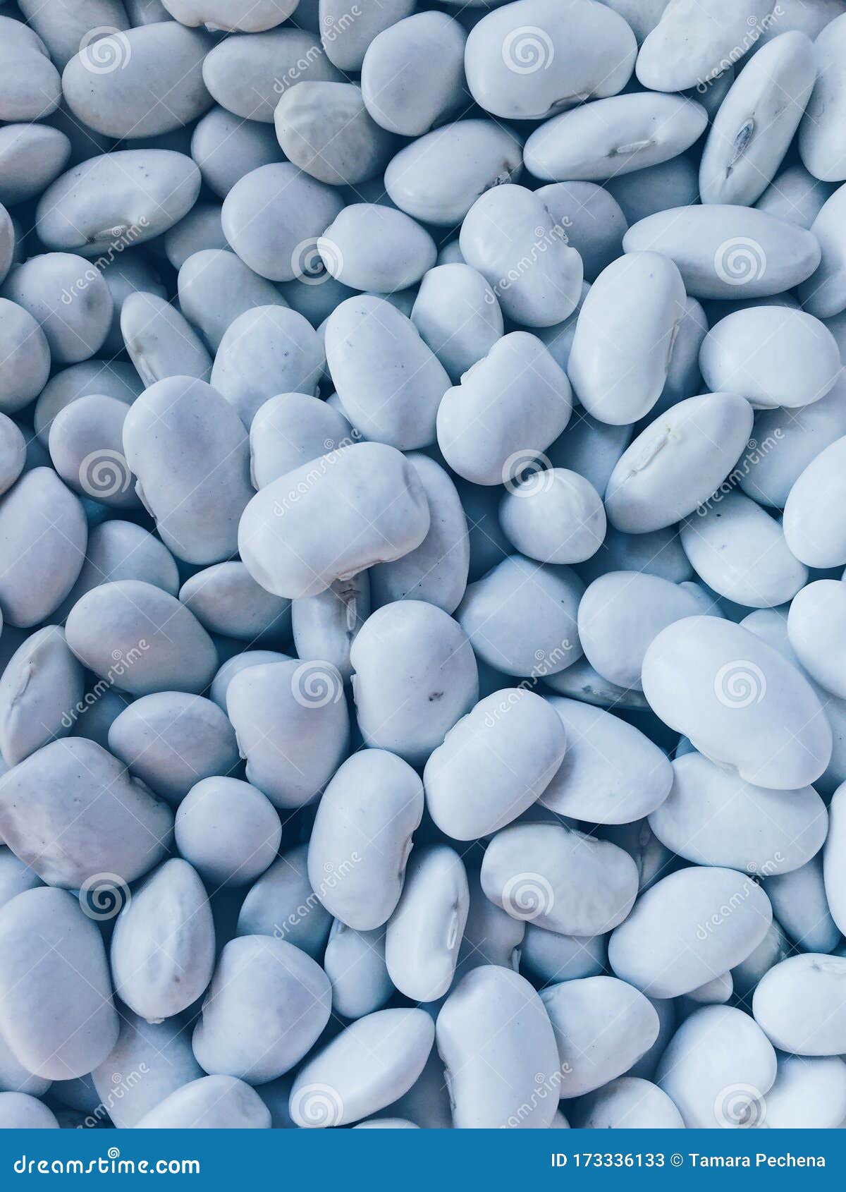 Background with White Beans. Blue Texture Stock Image - Image of colors ...