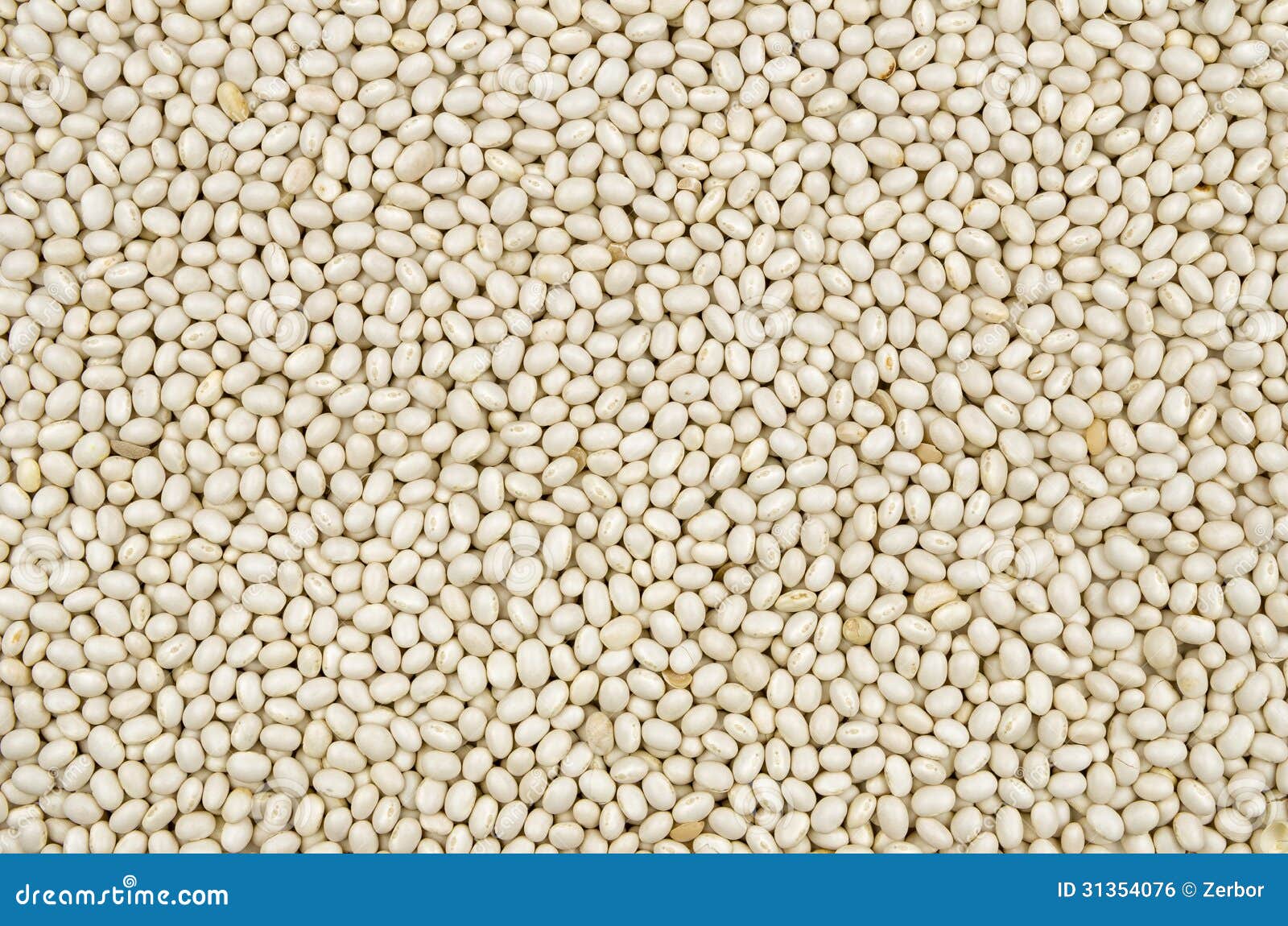 Background with White Beans Stock Photo - Image of health, fruit: 31354076