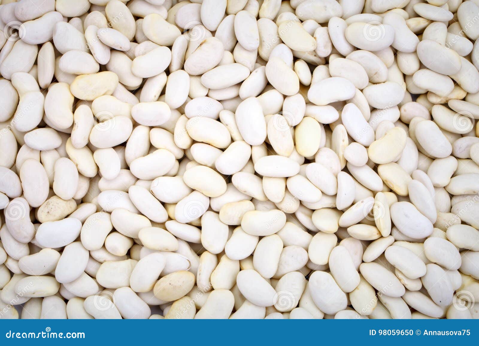 Background of white beans. stock photo. Image of closeup - 98059650
