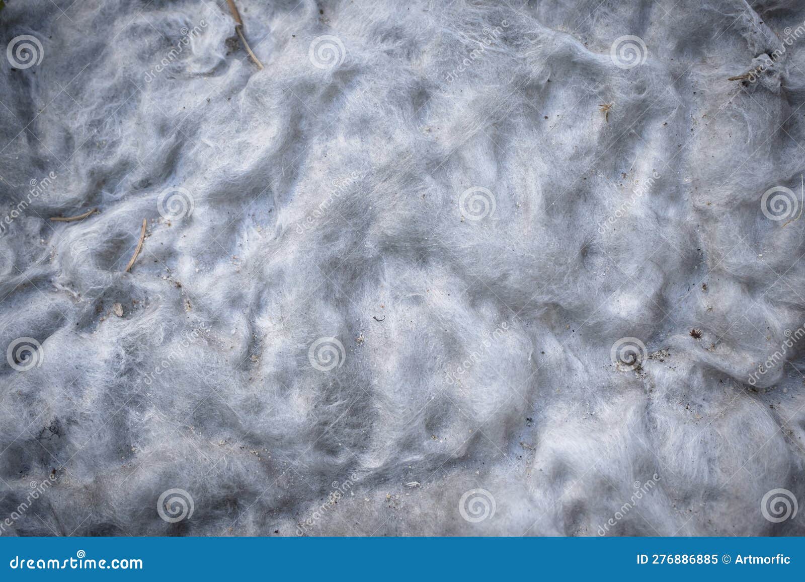 Background of White Dirty Cotton Wool from Old Matress Stuffing Close ...