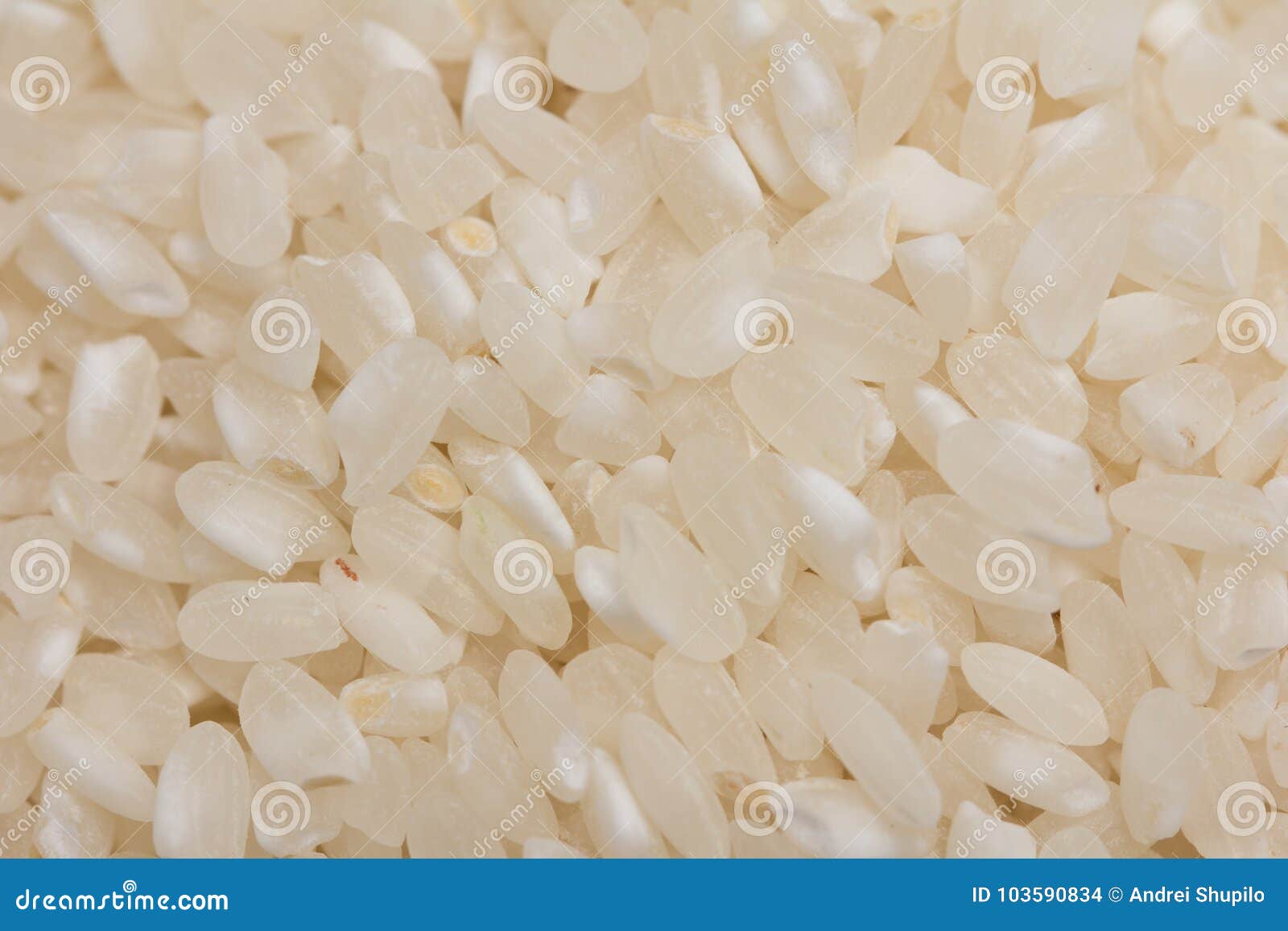 Background of White Rice. Macro Stock Photo - Image of asia, farming ...
