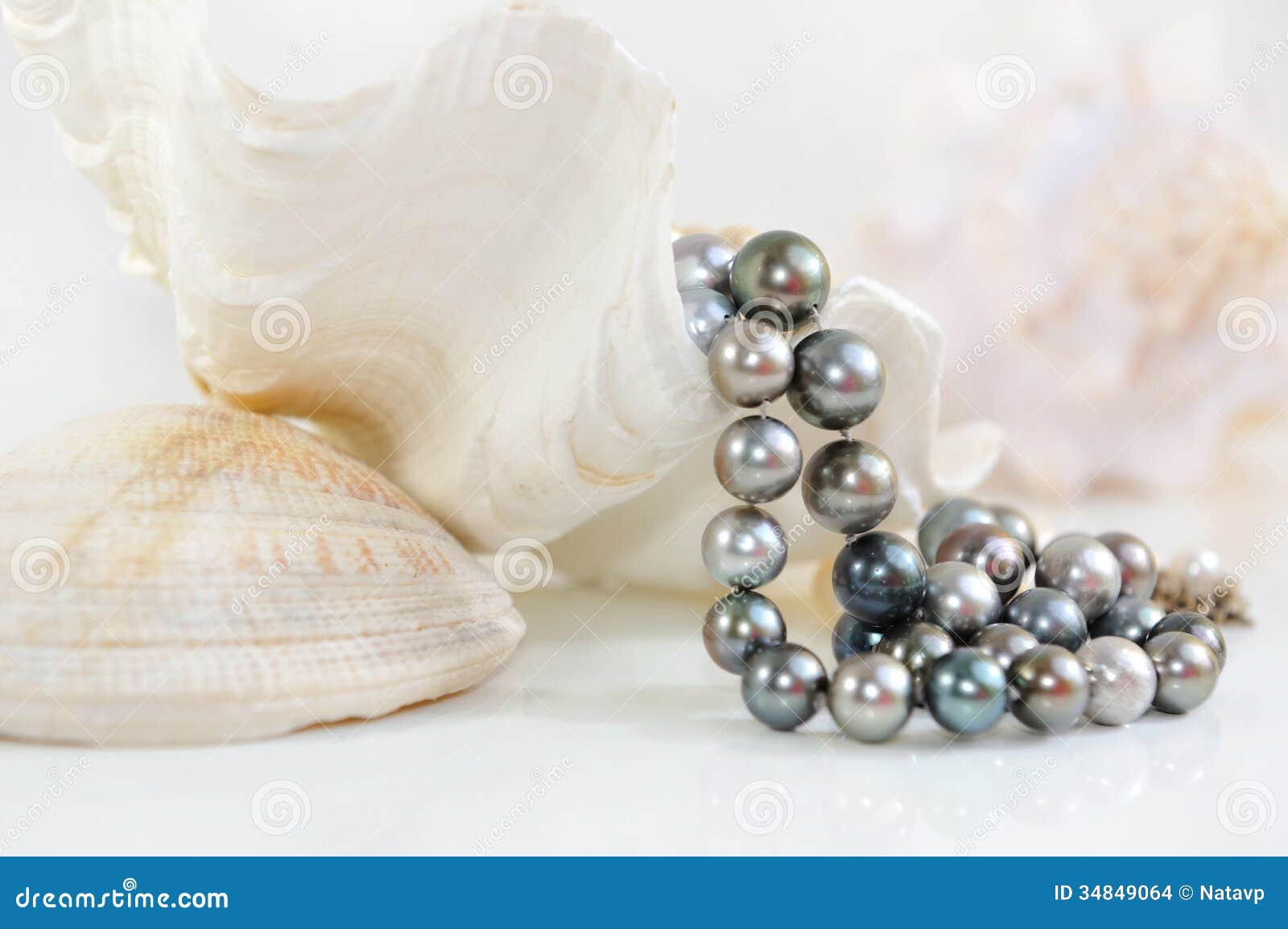 Background of the White Sea Shells and Black Pearls. Stock Photo ...