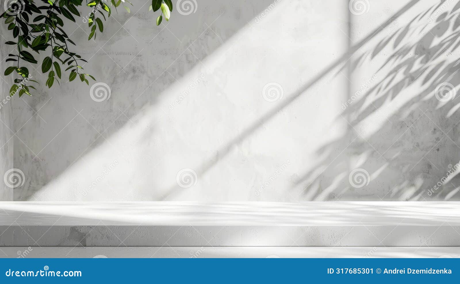 Background White Wall Studio with Shadow Leaves, Light Cement Floor ...