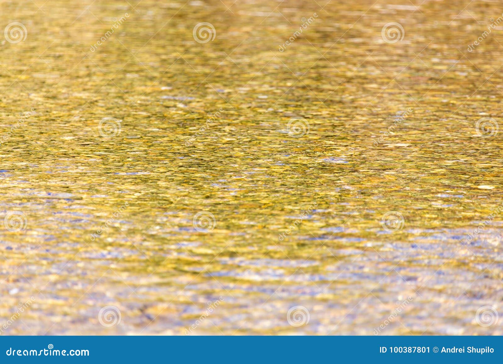 Background of Whitewater on the River Stock Image - Image of rapids ...