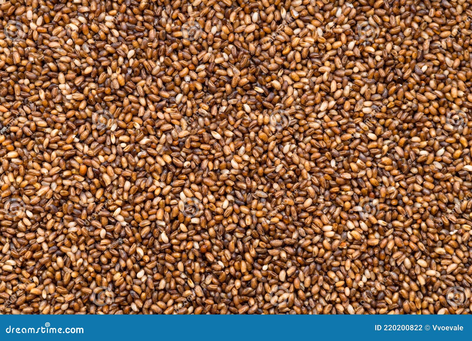 Background - Whole-grain Teff Seeds Stock Photo - Image of sample ...