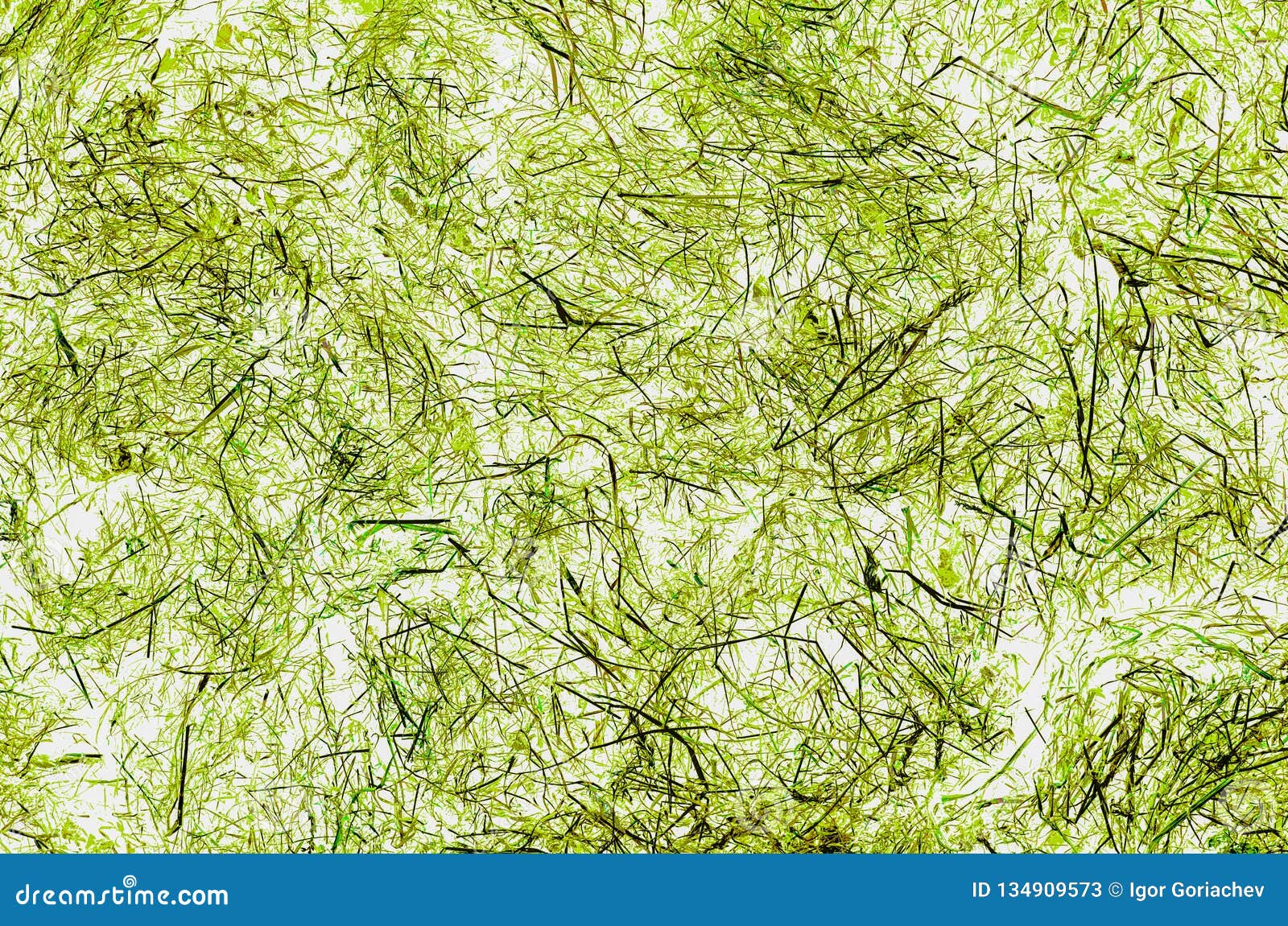Background, Wind Texture in Green Grass Stock Image - Image of green ...