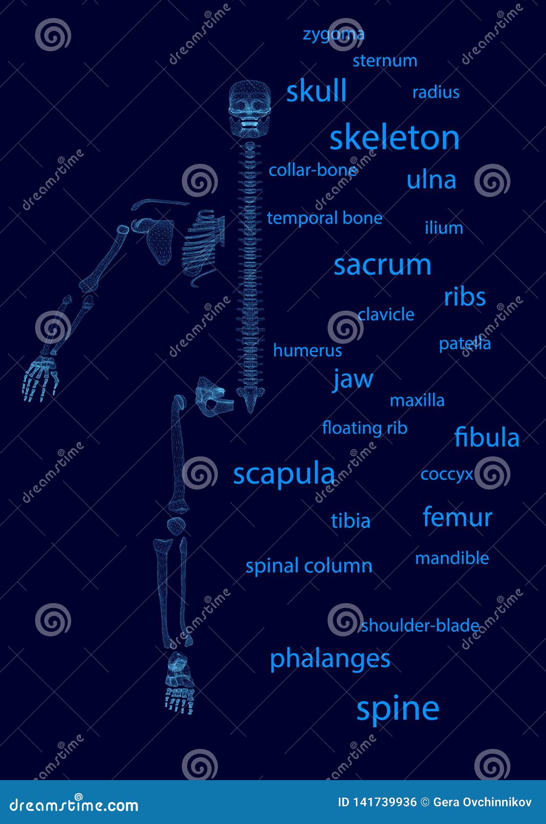 Skeleton Words