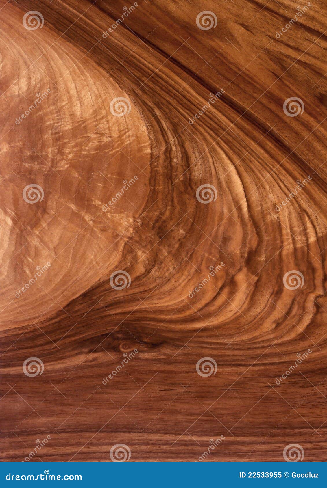 Background of wood stock image. Image of color, texture - 22533955