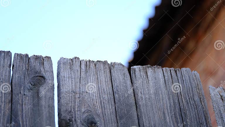 Wood Texture. Objects from the Boards Stock Photo - Image of wooden ...