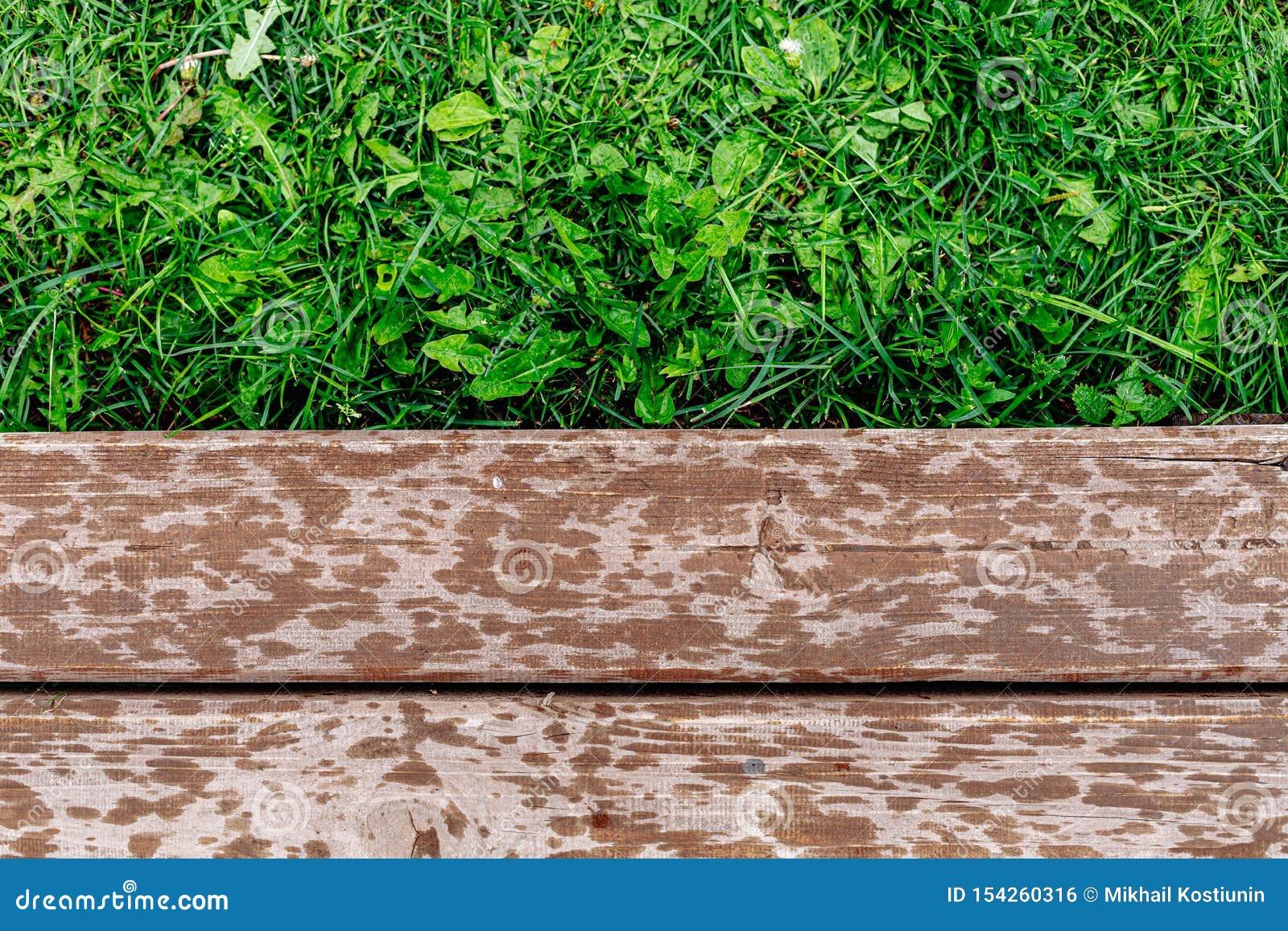 Wooden Path on the Lawn. Wood and Grass Stock Photo - Image of concept ...