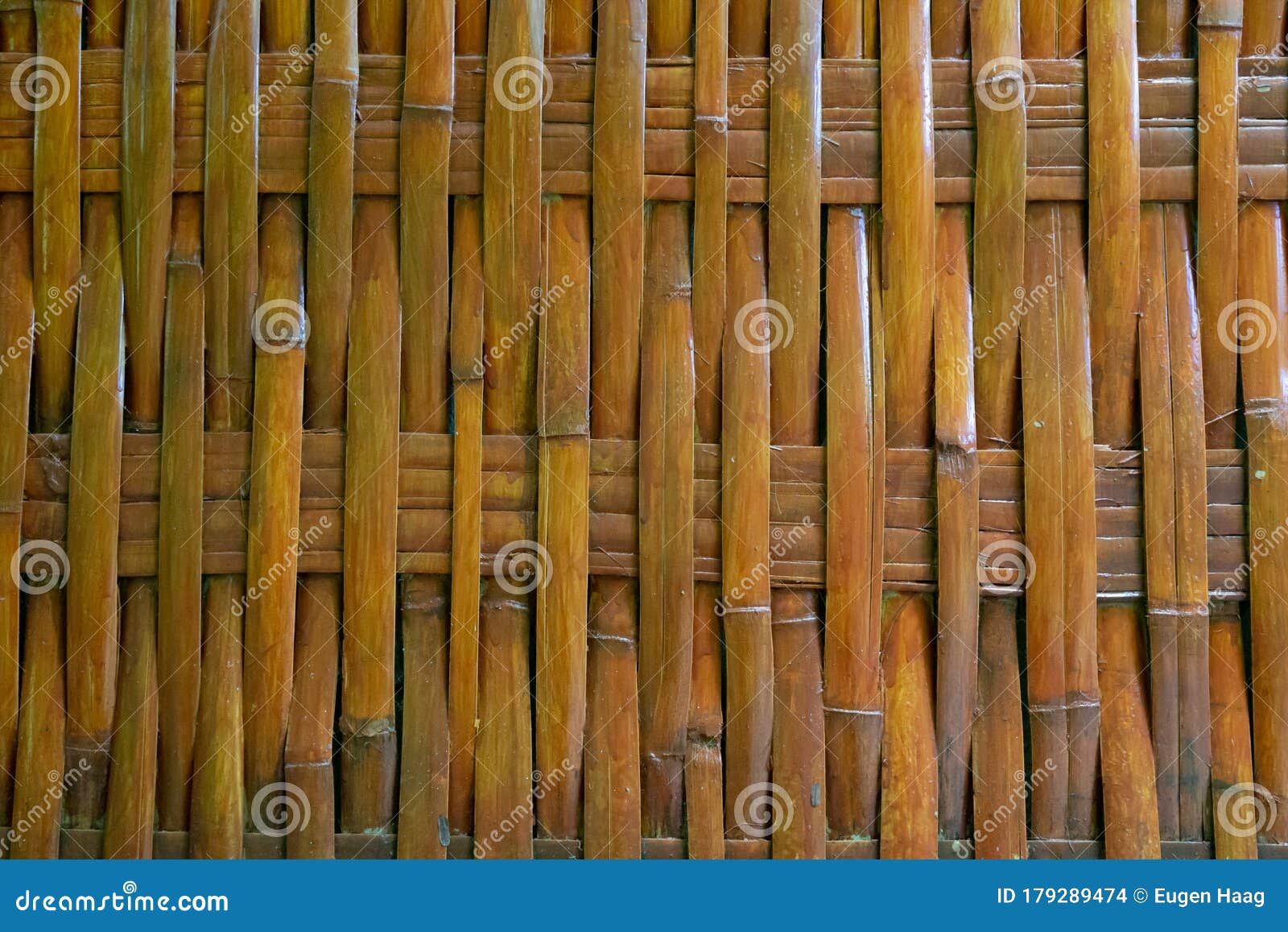 Background from a Wooden Mesh or Wood Stock Photo - Image of plant ...